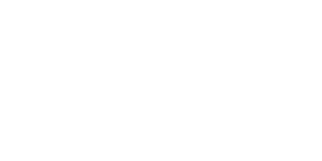 Robin B. – Movement and Wellness Coach